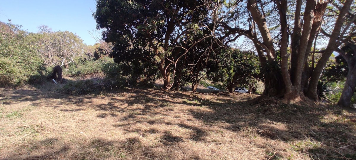 Residential Vacant Land for Sale | Shelly Beach | 1PX1540618 | Pam ...