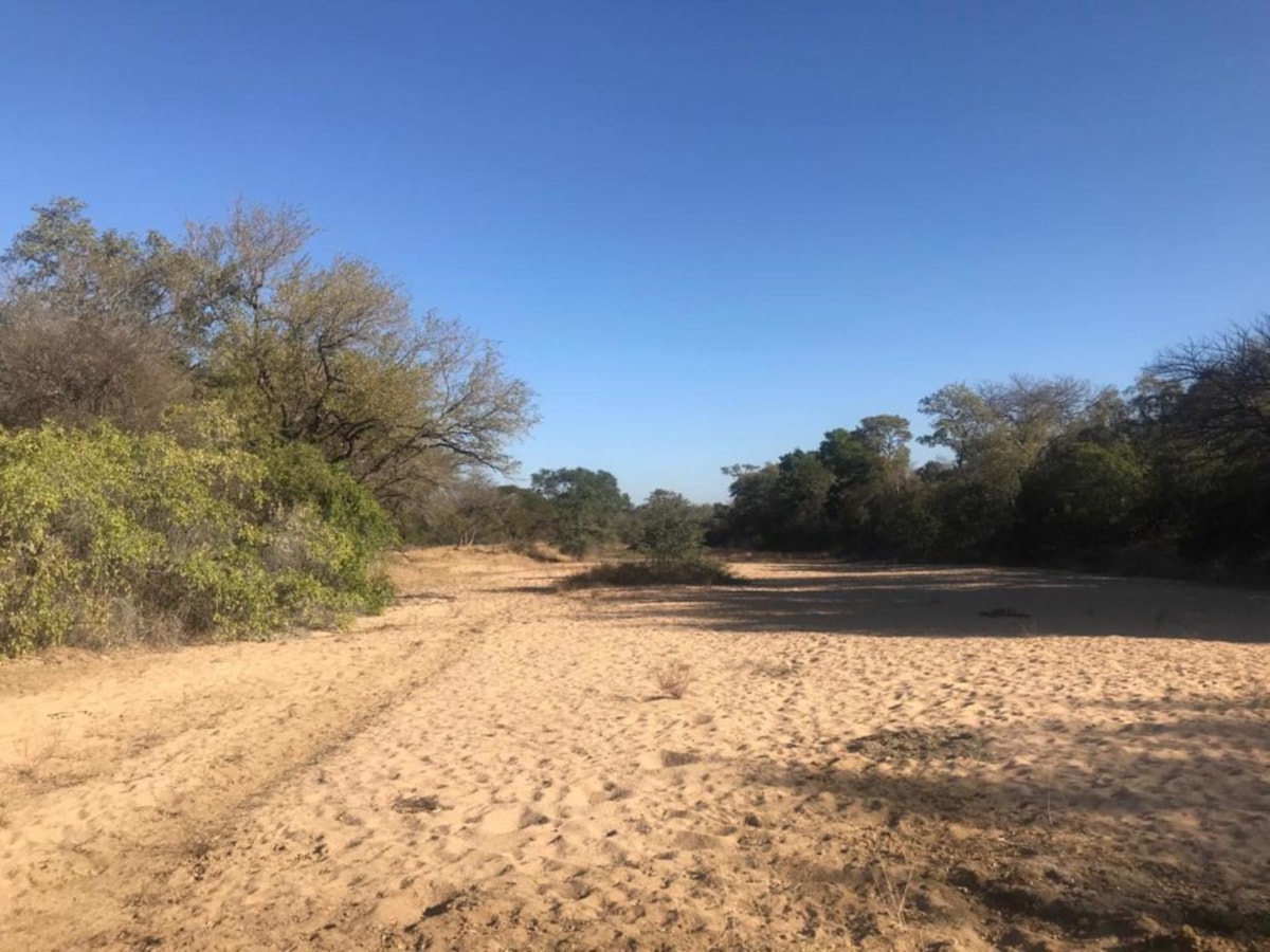 Vacant Land for Sale | Moditlo Nature Reserve | 1HS1639206 | Pam ...