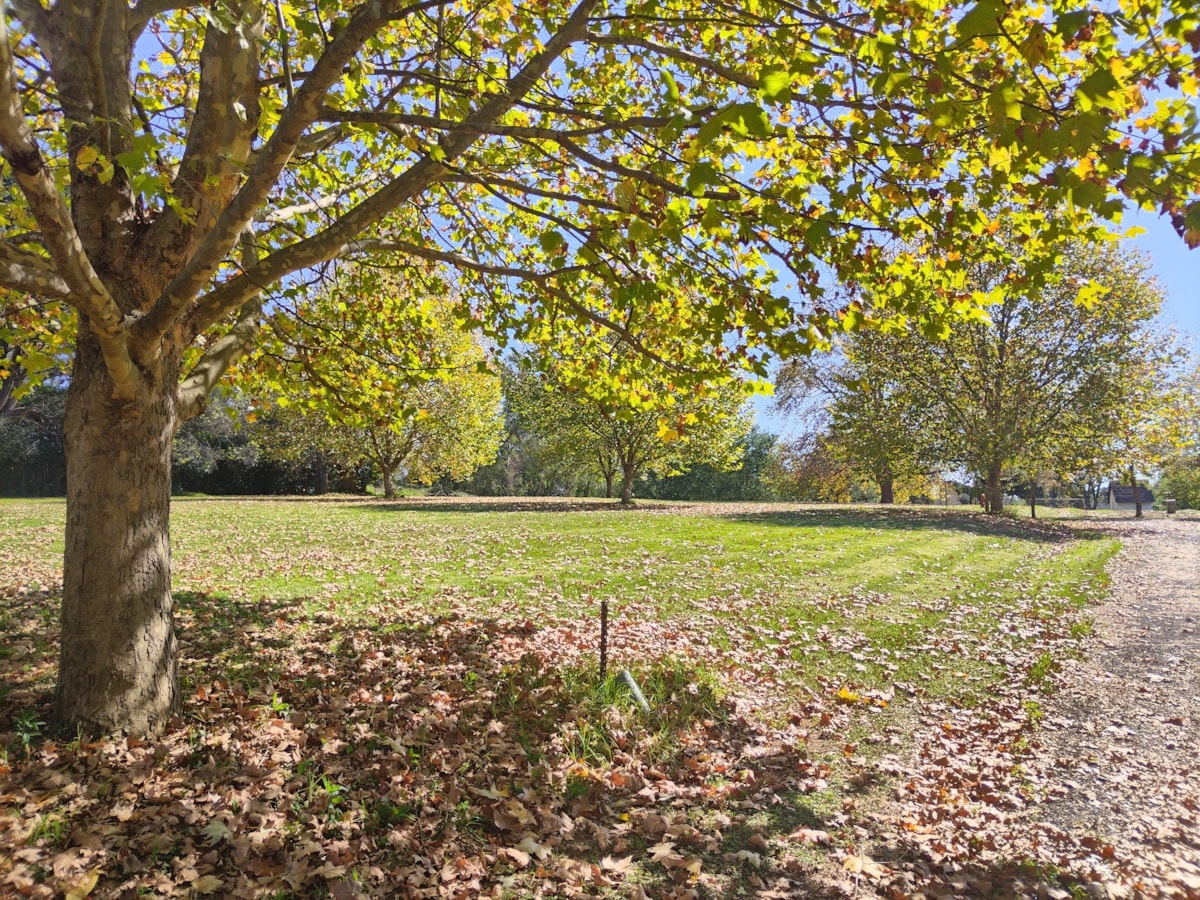 Vacant Land for Sale | Nottingham Road | 1PM1657285 | Pam Golding ...