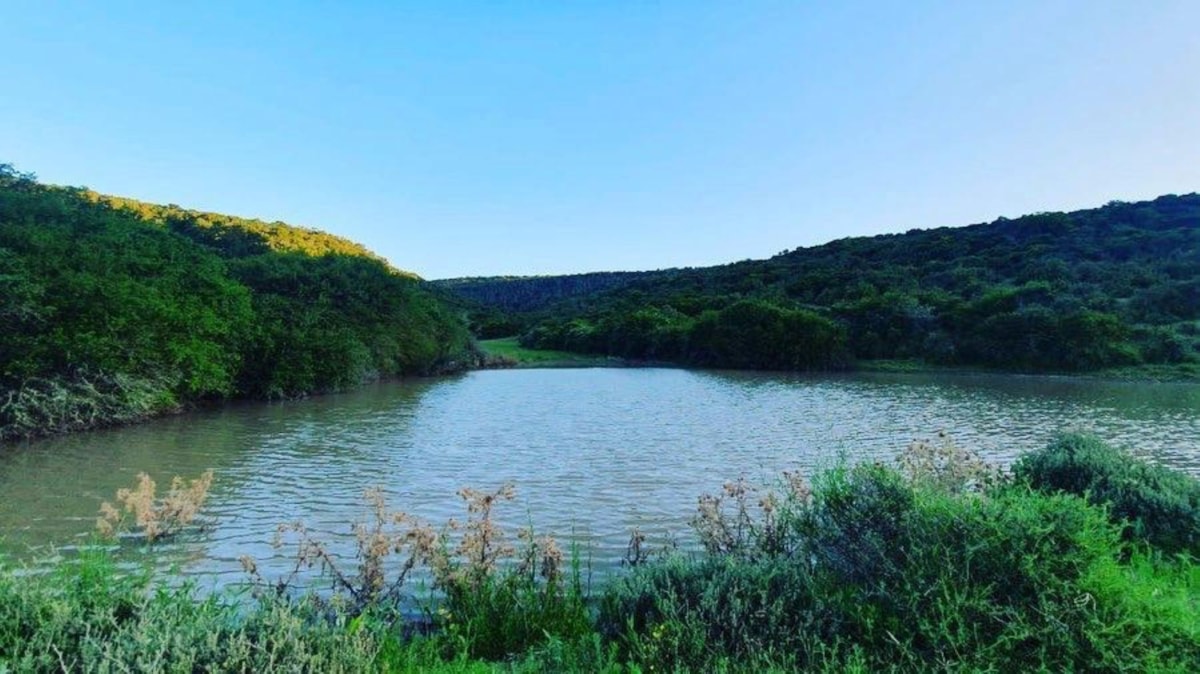 Game Farm for Sale | Grahamstown (Makhanda) | 1GC1703555 | Pam Golding ...
