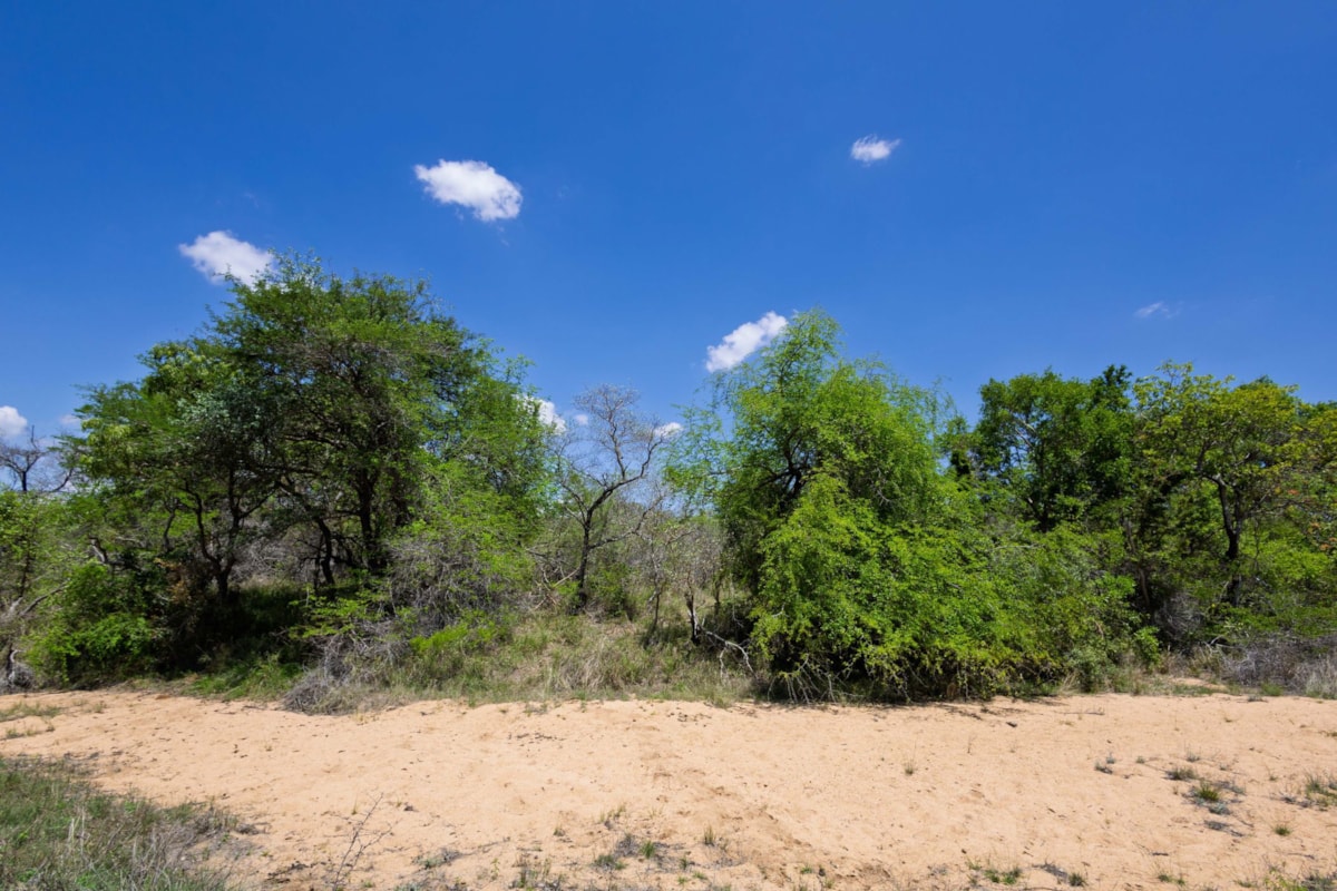 Vacant Land Property for Sale in Moditlo Nature Reserve | Pam Golding ...